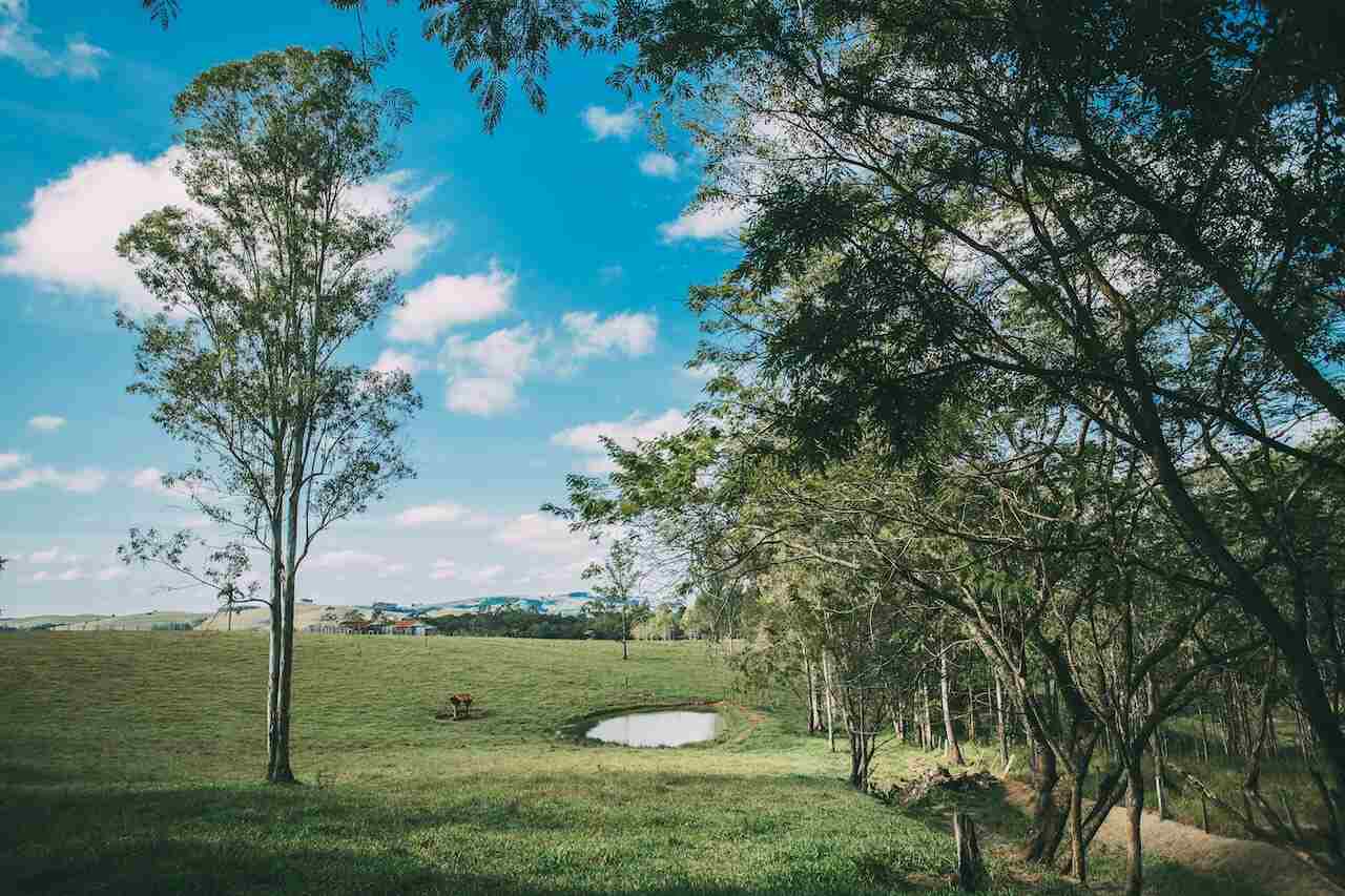 Explore The World of Golf with Golf Inquirer: Golf Inquirer