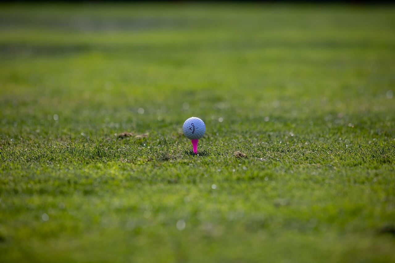 Best Golf Tees for Your Game: Types, Tips, and How to Improve Your ...